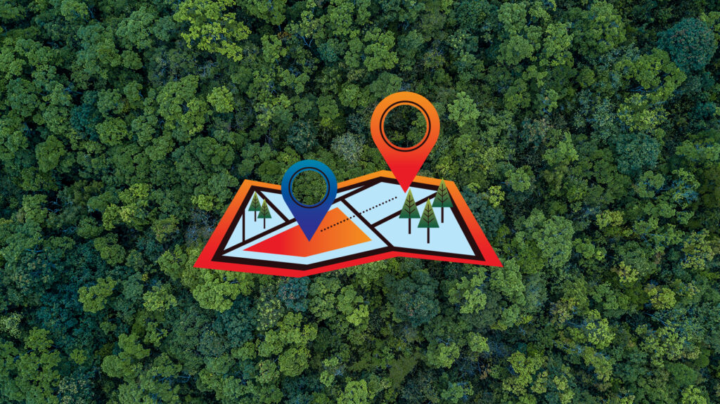 Forest & Wildland Stewardship Interagency Tracking System - California ...