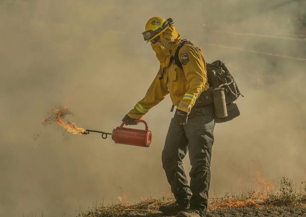 Recent CAL FIRE Grants Total Over $250M For Wildfire and Forest ...