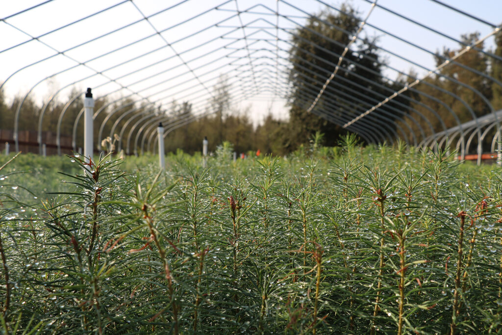 Governor Signs State Forest and Wildfire Budget - California Wildfire ...