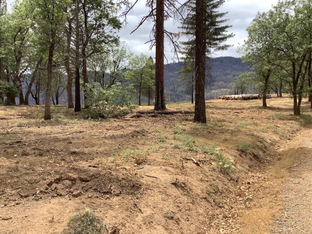 U.S. Forest Service makes progress on 795 acres of fuels reduction on the Mendocino National ...