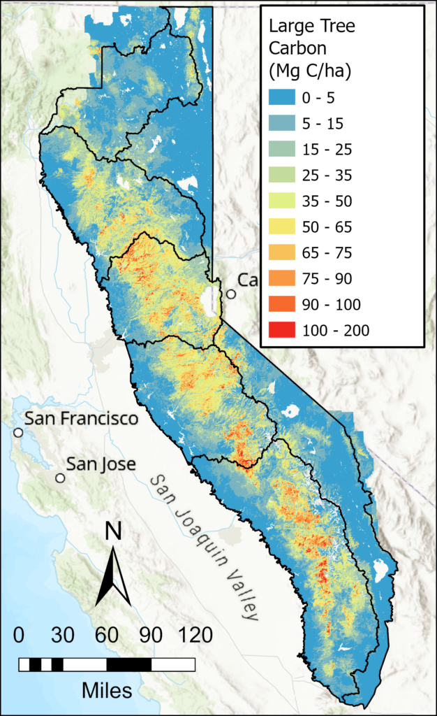 CARBON STORAGE - California Wildfire & Forest Resilience