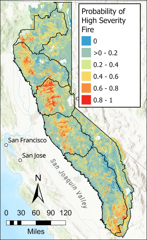 HEALTHY & RESILIENT FORESTS - California Wildfire & Forest Resilience