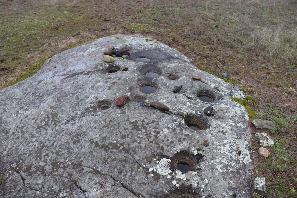 Tribal Wildfire Resilience Program - California Wildfire & Forest ...