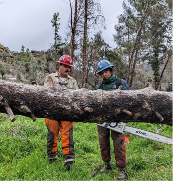 Workforce Development (Forestry Corps Crews) - California Wildfire ...