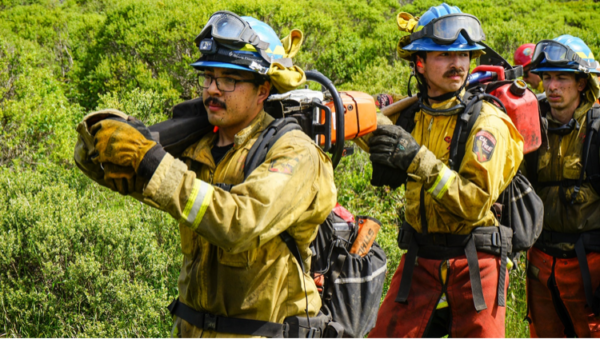 Fire Crews - California Wildfire & Forest Resilience