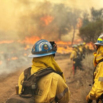 Fire Crews - California Wildfire & Forest Resilience