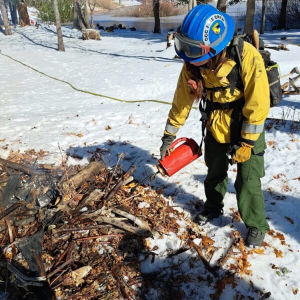 Fire Crews - California Wildfire & Forest Resilience
