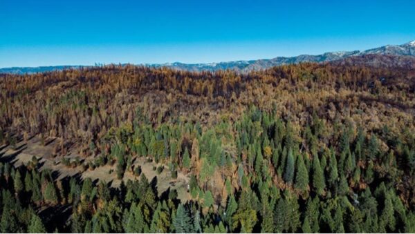Project Implementation in High-Risk Regions – Sierra Nevada ...