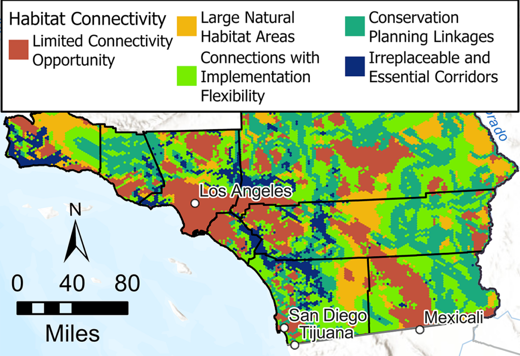 Biodiversity Conservation - California Wildfire & Forest Resilience