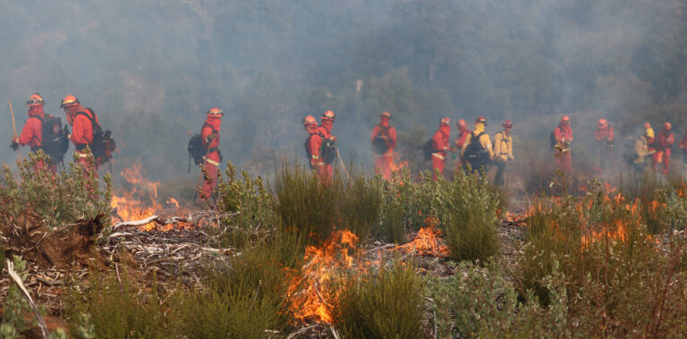 CAL FIRE Forest Health Awards - California Wildfire & Forest Resilience