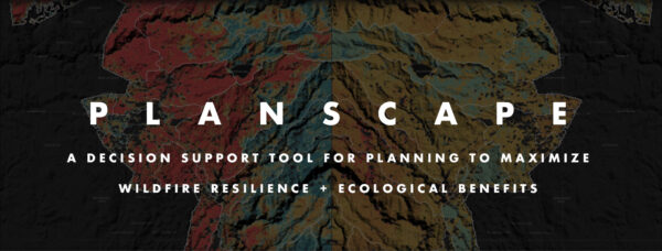 PLANSCAPE - California Wildfire & Forest Resilience