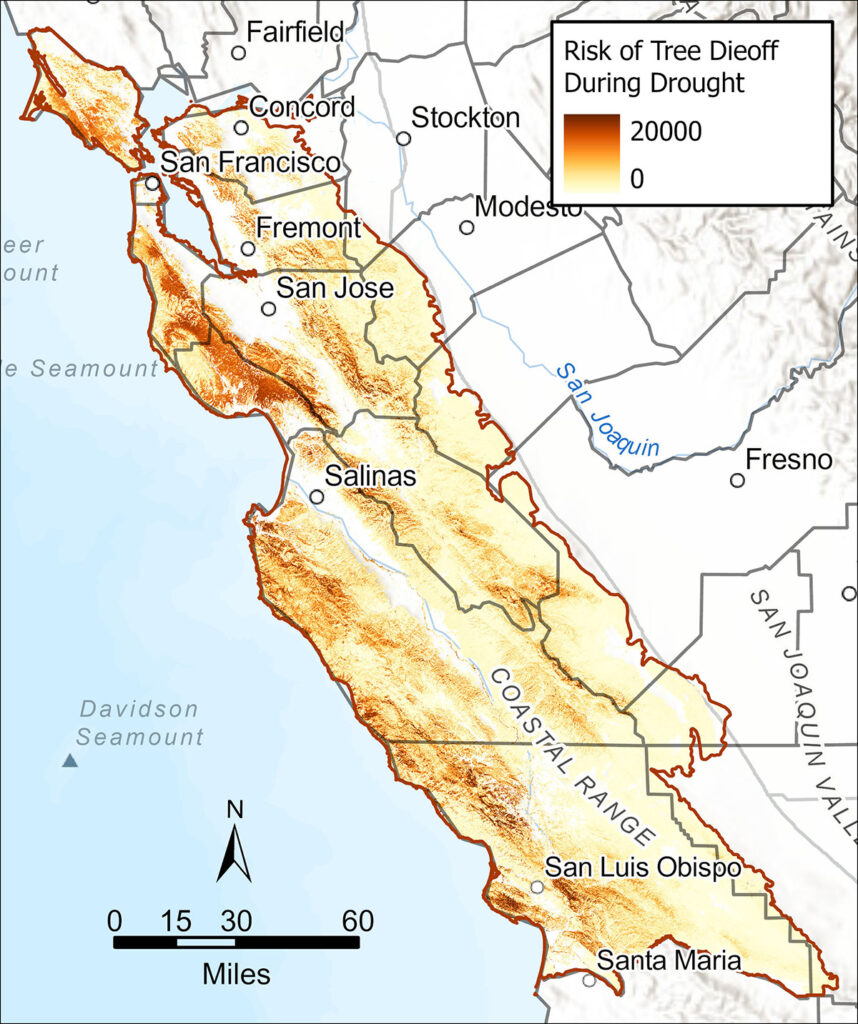 HEALTHY & RESILIENT FORESTS - California Wildfire & Forest Resilience