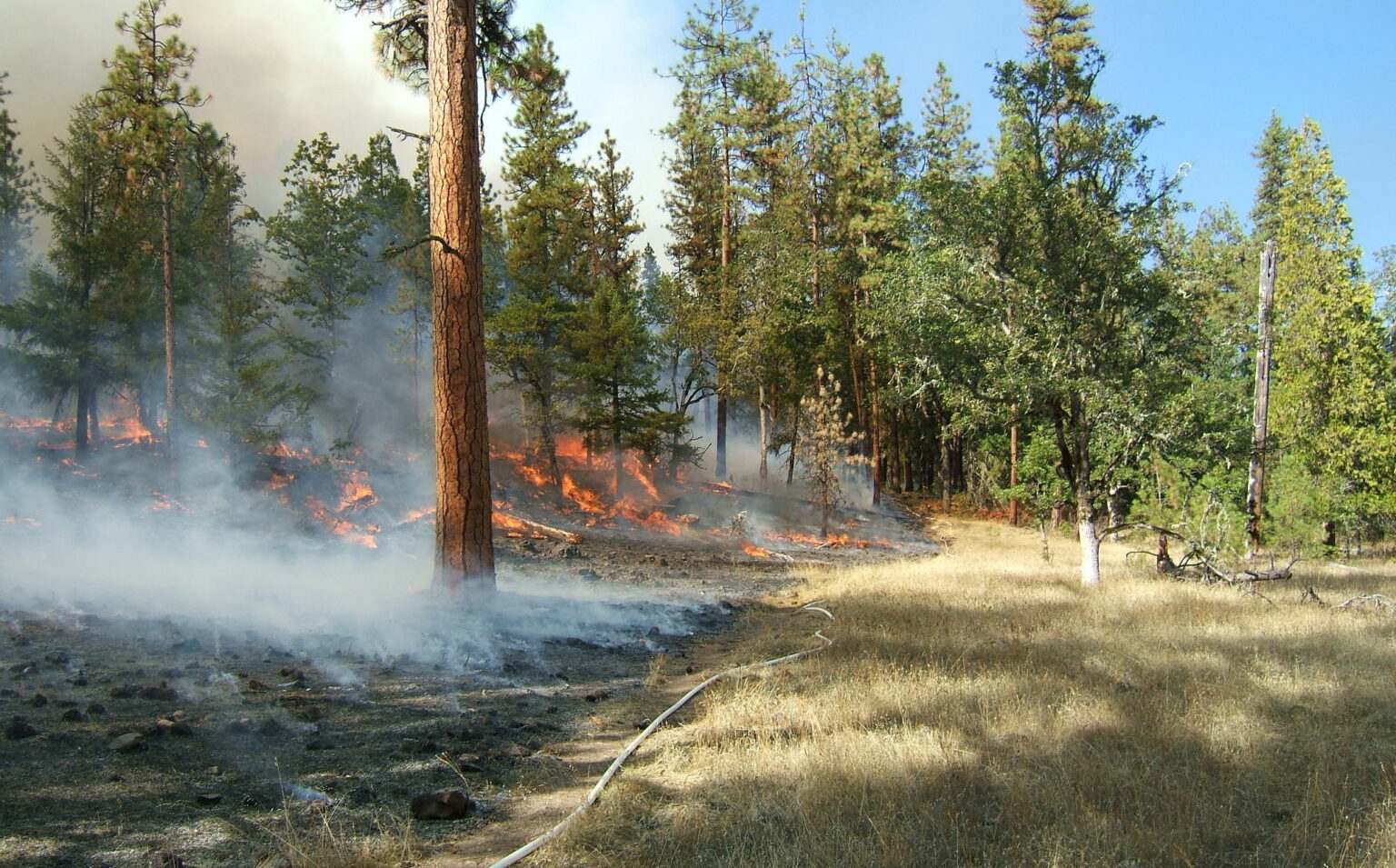 BLM Signs Environmental Assessment to Streamline Fuels Reduction ...