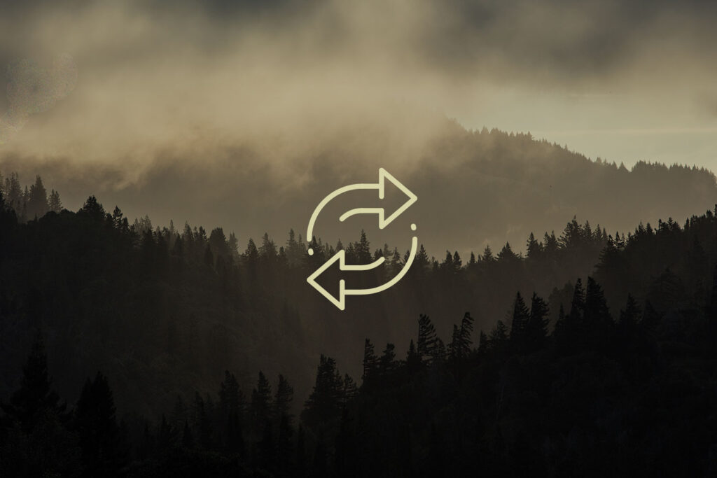 Forest Service Conducts Fuel Reduction Work in Lake Tahoe Basin ...