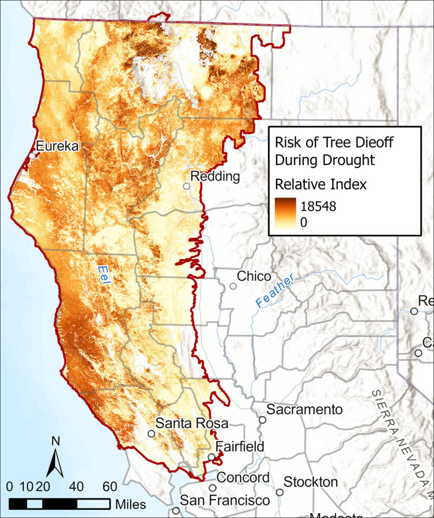 HEALTHY & RESILIENT FORESTS - California Wildfire & Forest Resilience