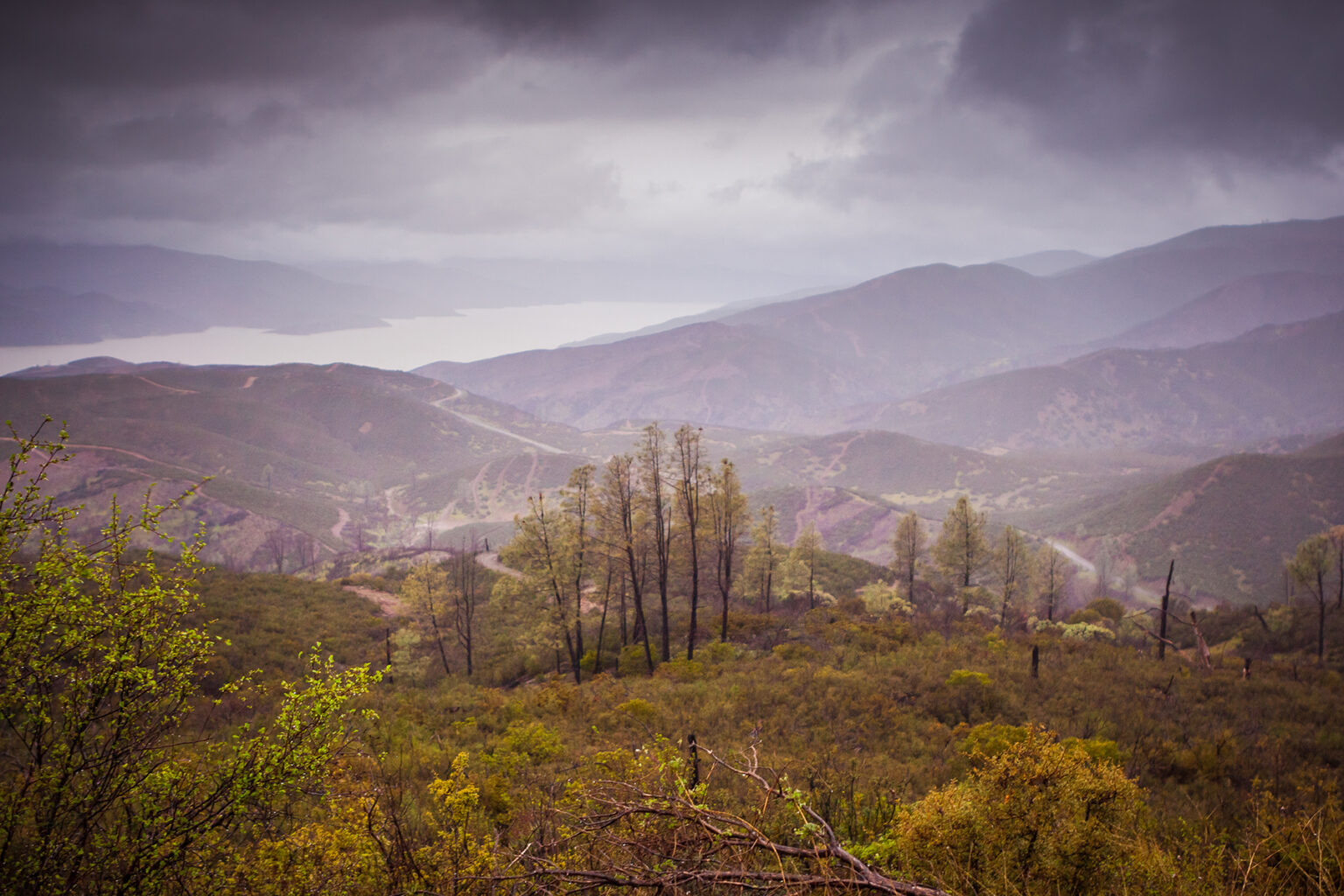 HEALTHY & RESILIENT GRASSLANDS & SHRUBLANDS - California Wildfire ...