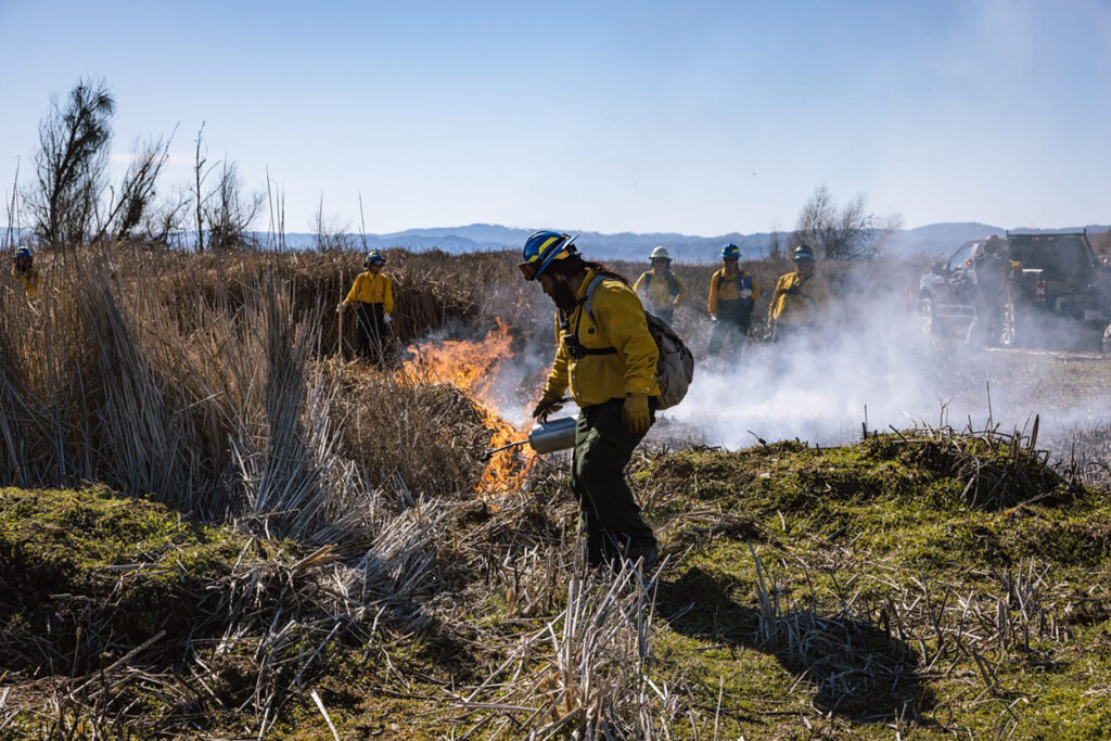 Resilient and Fire-Safe Communities - California Wildfire & Forest ...