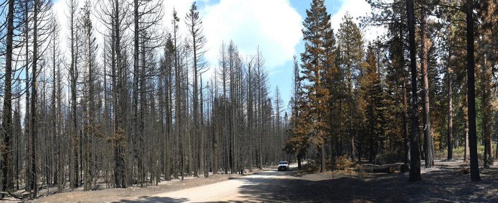 USFS Study Shows How Fuel Treatments Improve Wildfire Outcomes - California Wildfire & Forest ...