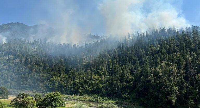 Karuk Tribe Showcases Indigenous Stewardship’s Role in Forest ...