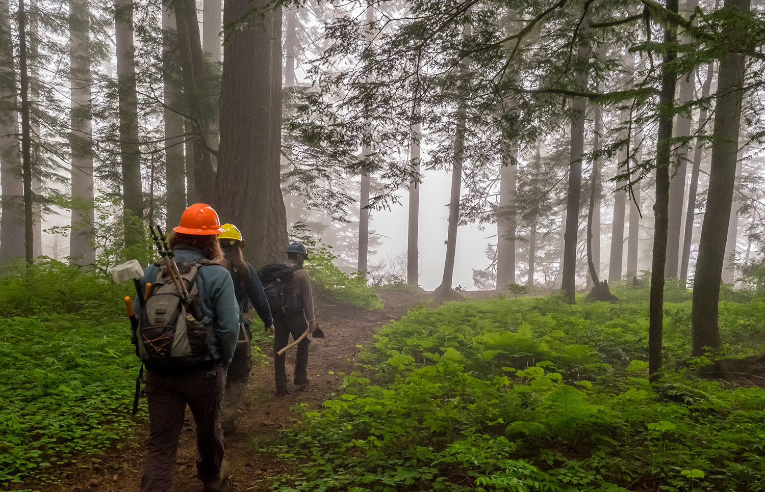 California Protects 11,000 Acres of the Upper Trinity River Watershed ...