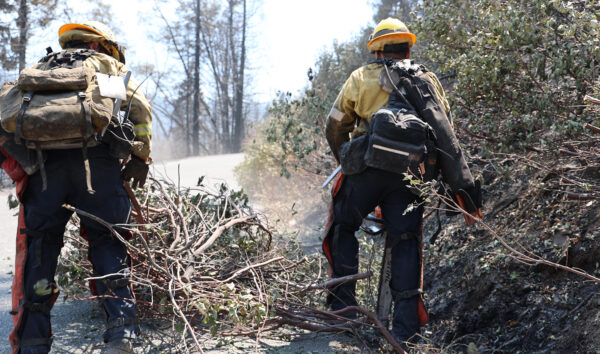 CAL FIRE Funds 94 Wildfire Projects - California Wildfire & Forest ...