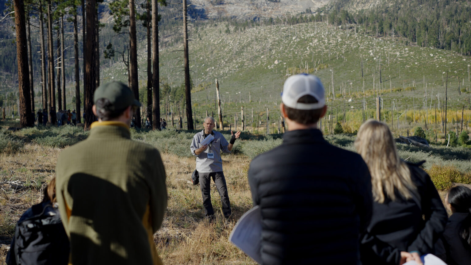 Emergency Forest Restoration Team Accelerates Caldor Fire Recovery ...
