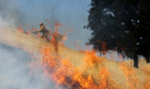 California Passes Proposition 4 — Providing $1.5 Billion for Wildfire ...
