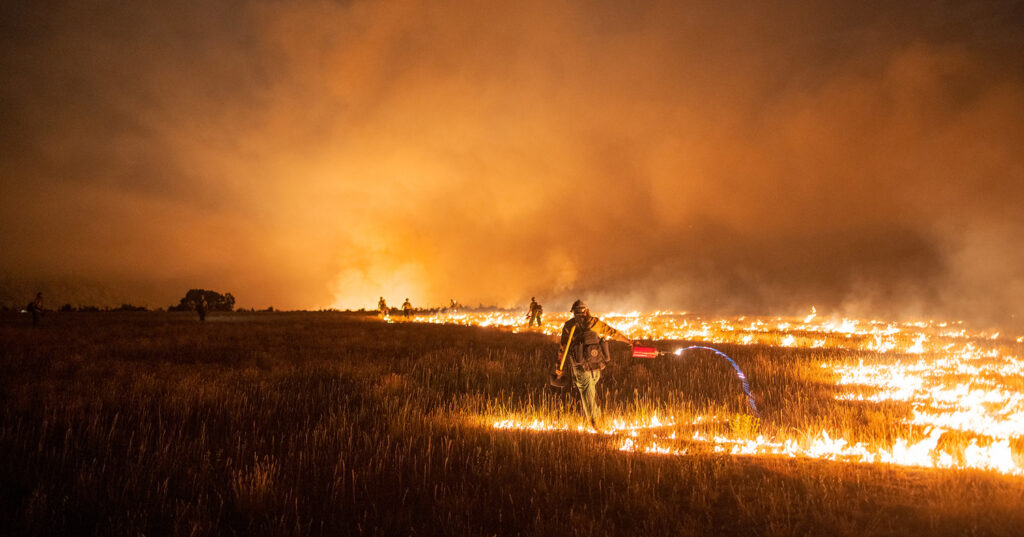 U.S. Forest Service Completes Record Setting Year for Prescribed Fire ...