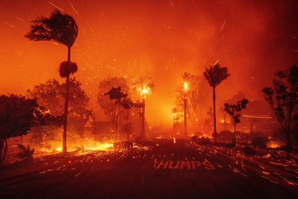 Managing Wildfire Risk in Southern California’s Chaparral Landscapes ...