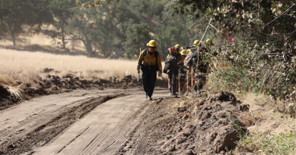 Managing Wildfire Risk in Southern California’s Chaparral Landscapes ...