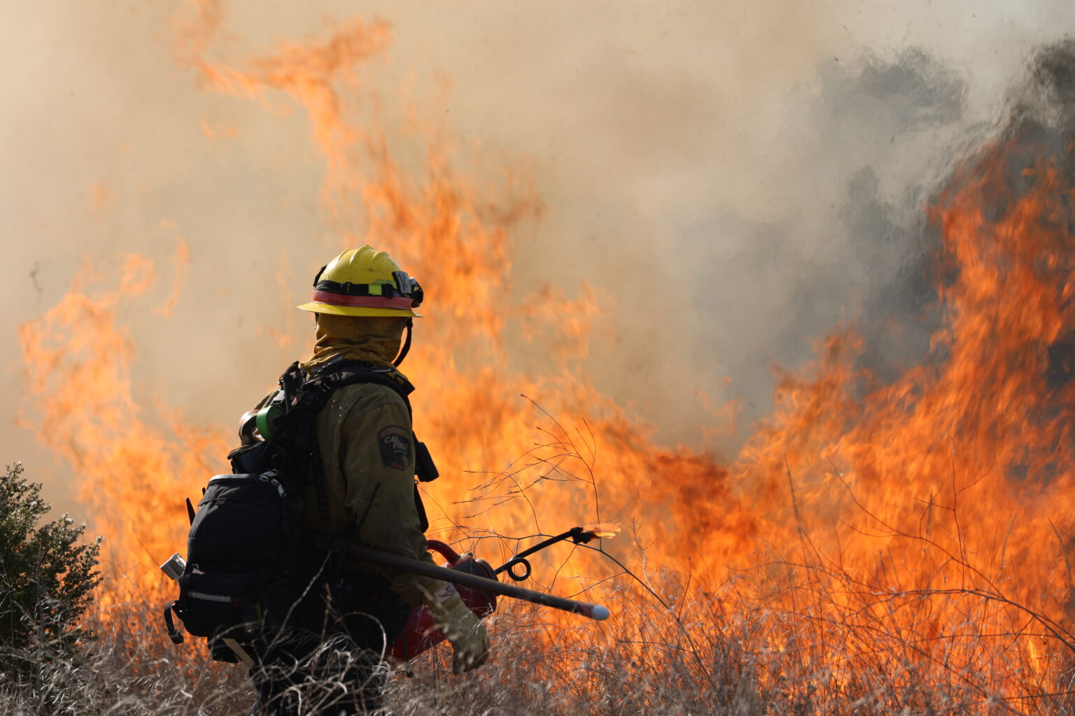 Task Force Releases 2025 Key Deliverables to Outline California’s Top ...