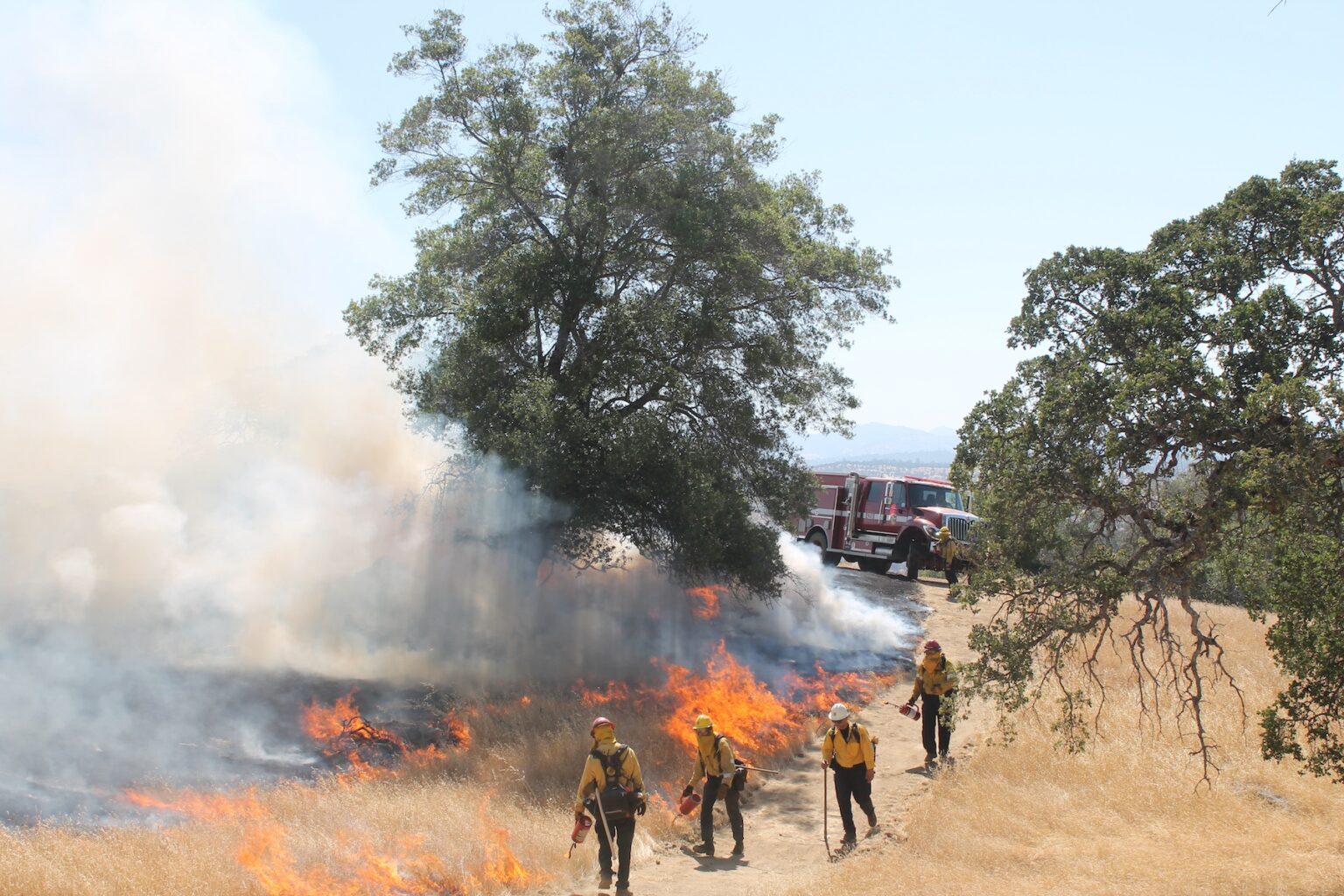 Governor Newsom Signs Executive Order to Expand Beneficial Fire Use ...