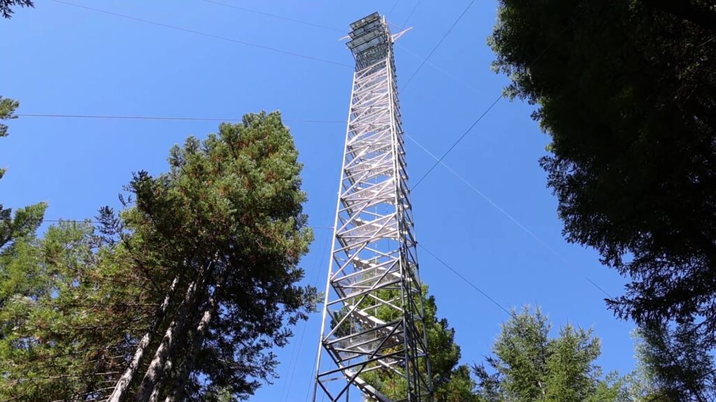 CNRA and Partners Install First Ever Redwood Forest Observatory ...