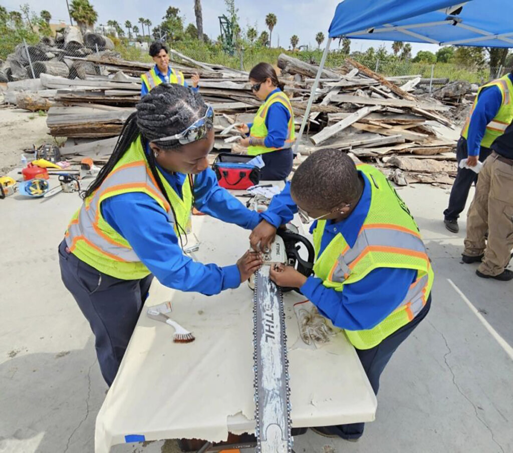 Watershed Research and Training Center and Sierra Business Council Release Wildfire Resilience ...